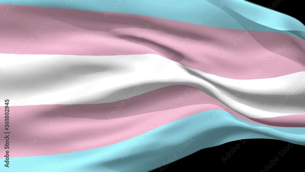 Flag transgender pride community, 3d rendering windy waving transgender ...