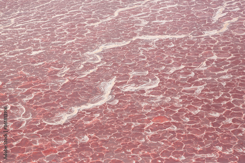 Aerial view of the salt pan and mineral crust with red algae of Lake ...
