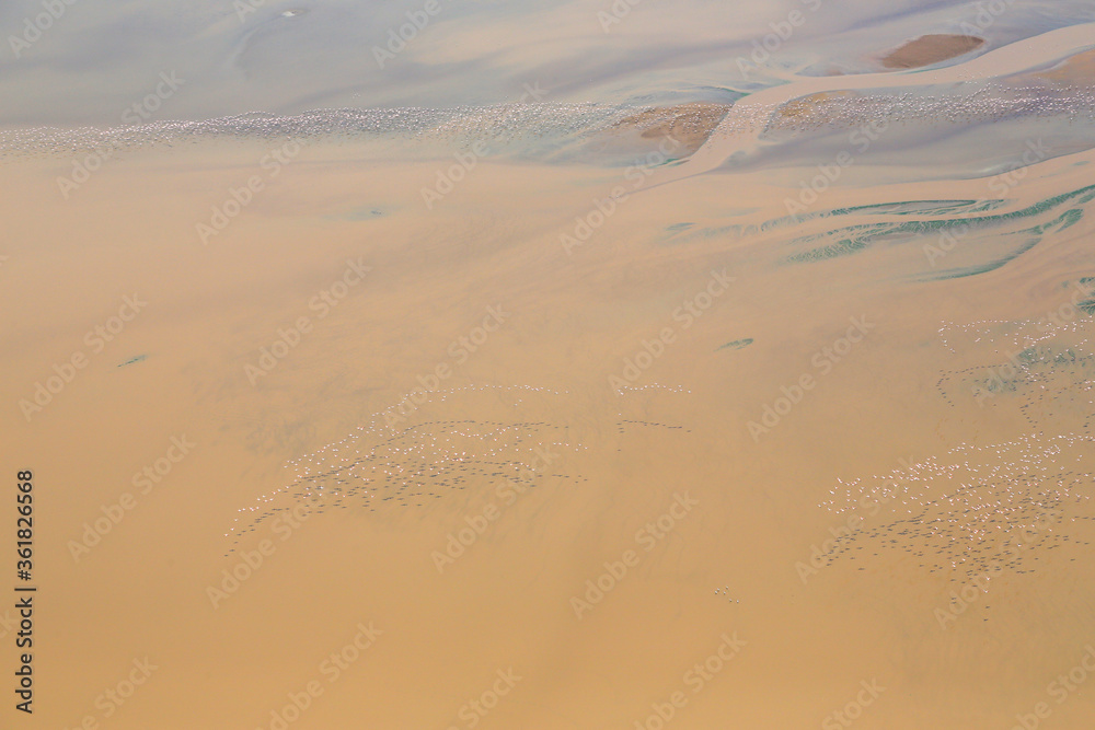 Aerial view of a flock of lesser flamingos over Lake Natron in the ...