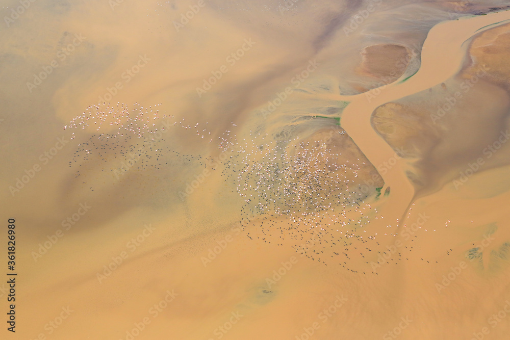 Aerial view of a flock of lesser flamingos over Lake Natron in the ...