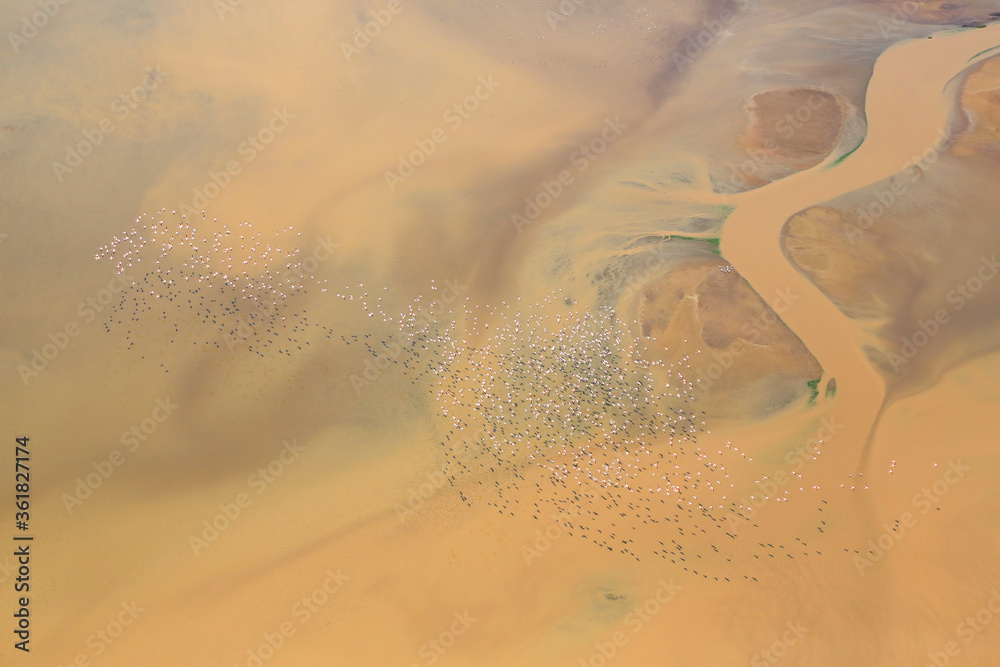 Aerial view of a flock of lesser flamingos over Lake Natron in the ...