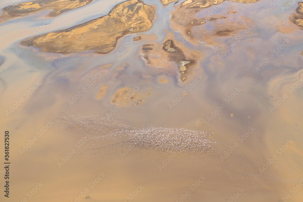 Aerial view of a flock of lesser flamingos over Lake Natron in the ...