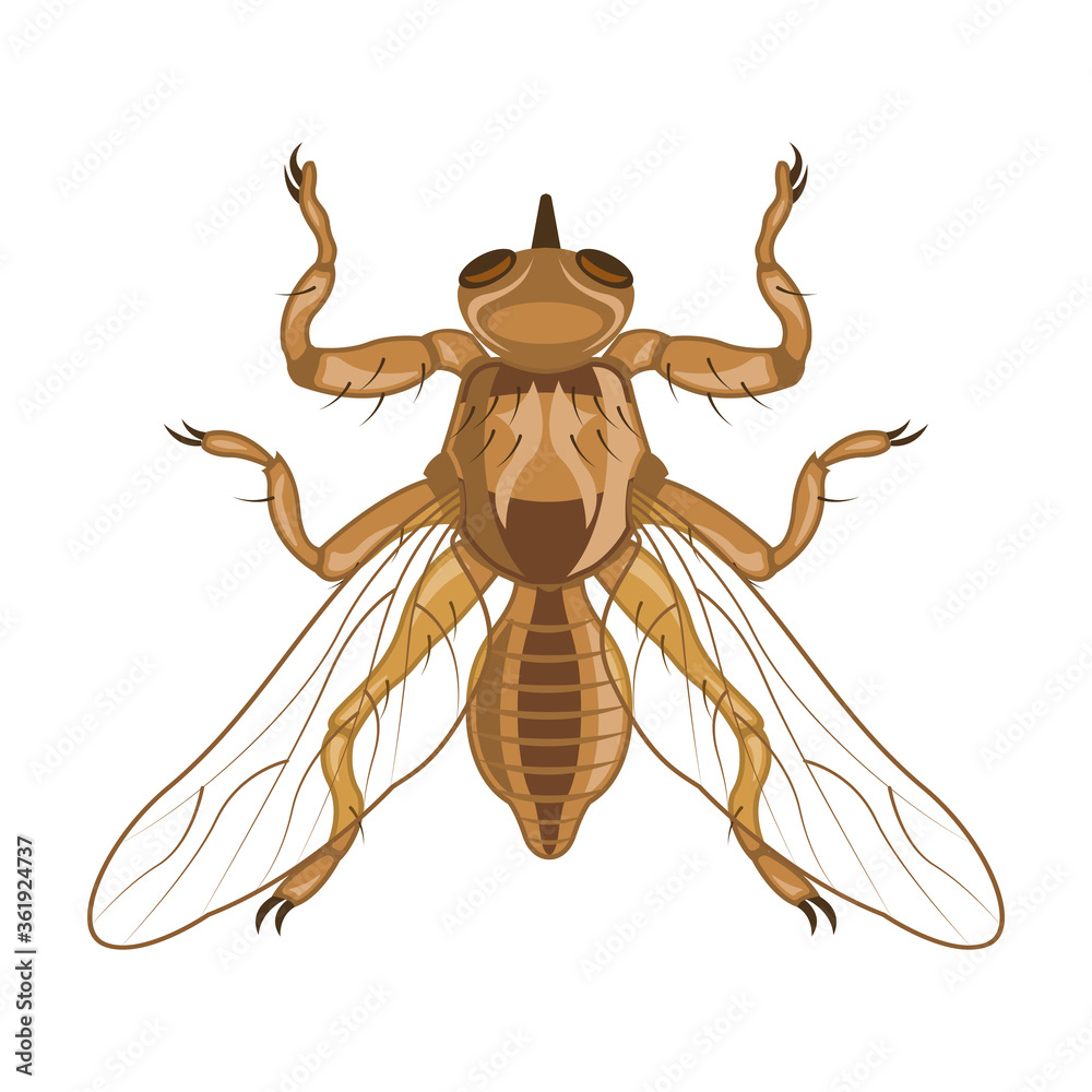 Parasites vector icon.Cartoon vector icon isolated on white background ...