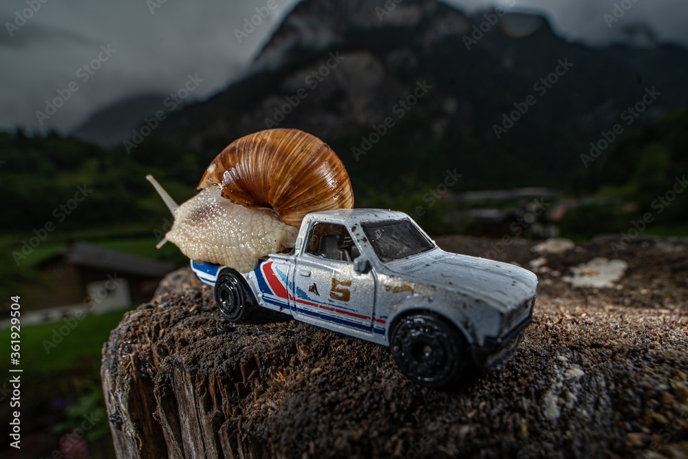 SnaSnail on toy car mountain background cloudy sky Schnecke auf Auto il ...