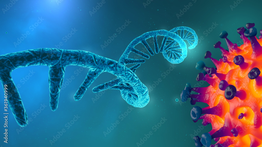 Coronavirus pandemic. Single RNA strand. Microscopic view of a ...