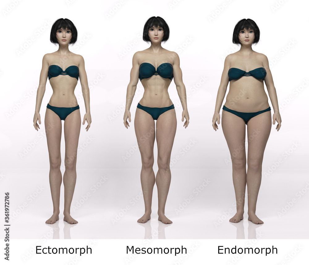 3d Rendering Standing Female Body Type Illustration Ectomorph