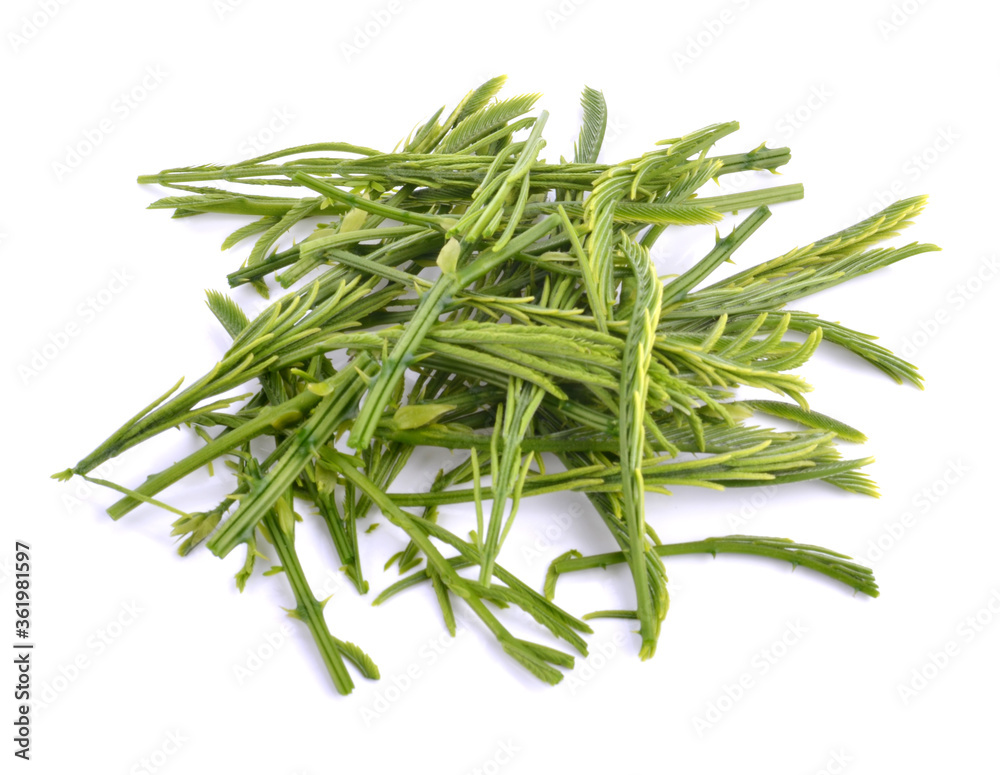 Thai local vegetable, Senegalia pennata or Acacia pennata or Cha-om ...