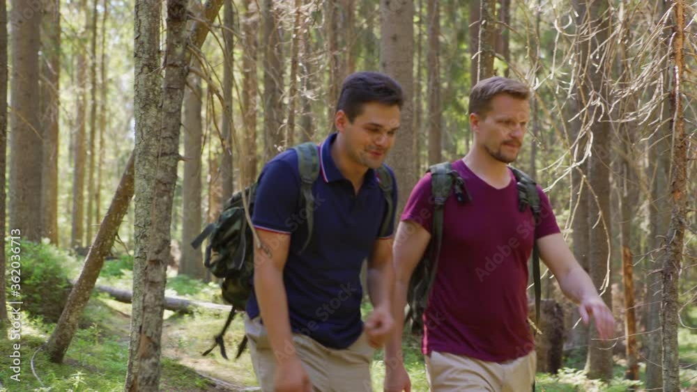 Two male friends talking while hiking together in forest. Middle aged ...