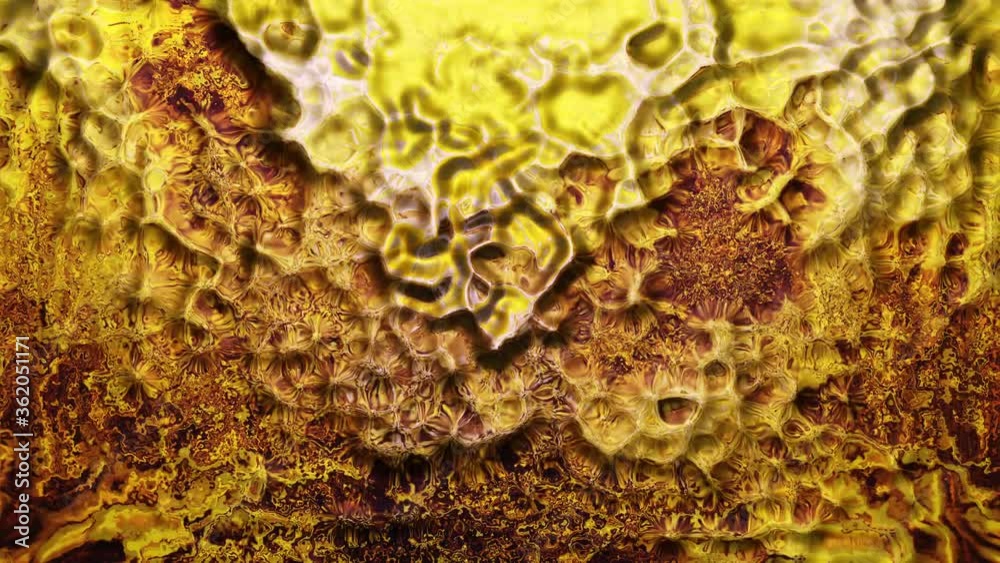 Abstract vibrating metal animation. boiling gold background. loop ...