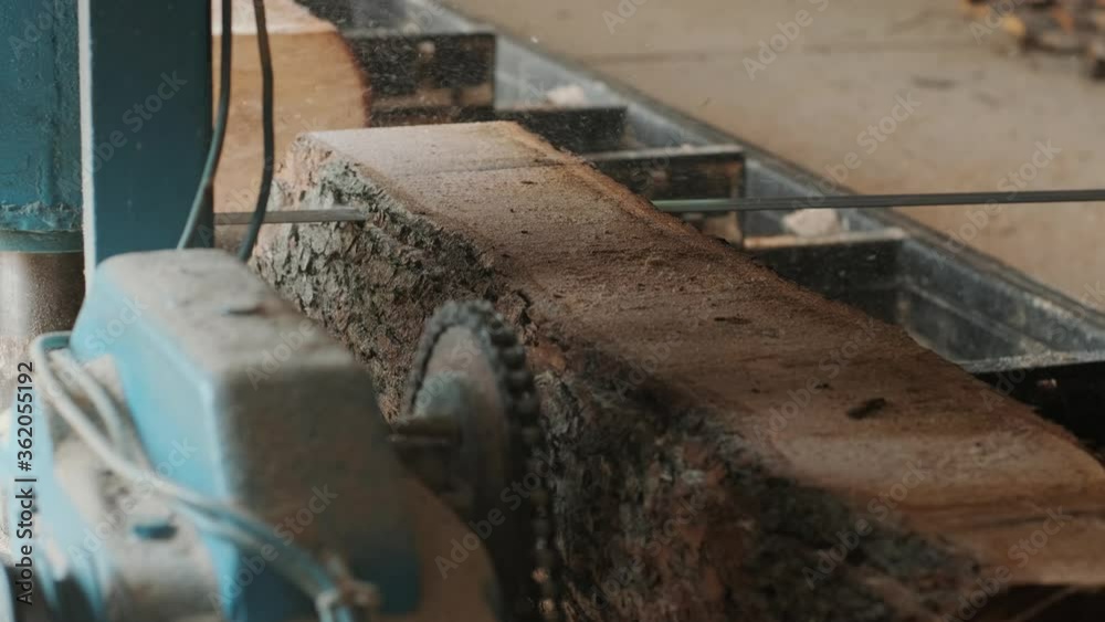 Sawing machine at wood production factory. Timber material processing ...