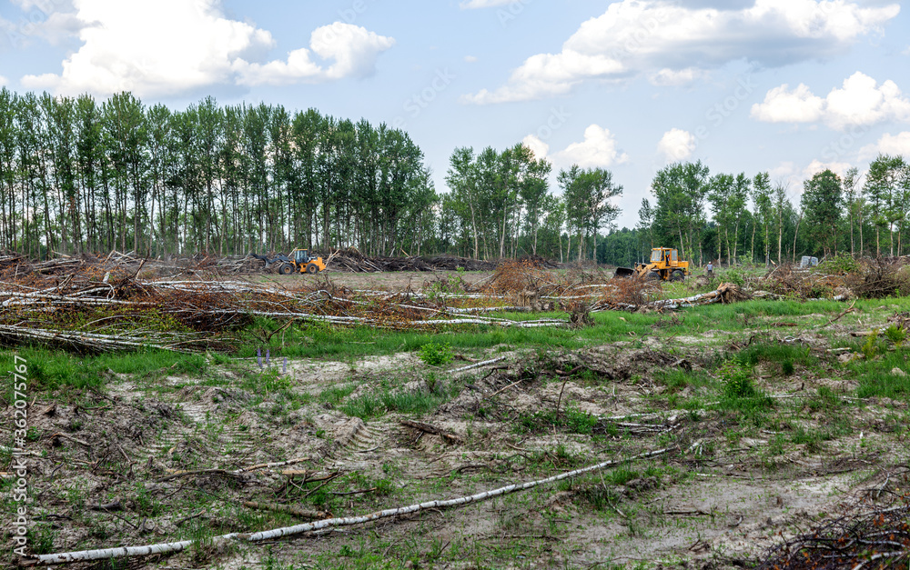 Area of illegal logging. Forests Deforestation humans are causing global warming. Deforestation ...