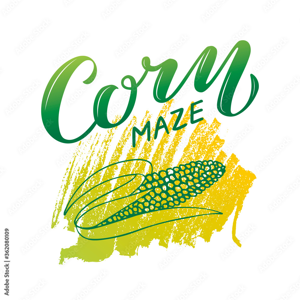 Vector illustration of corn maze brush lettering for banner, leaflet ...