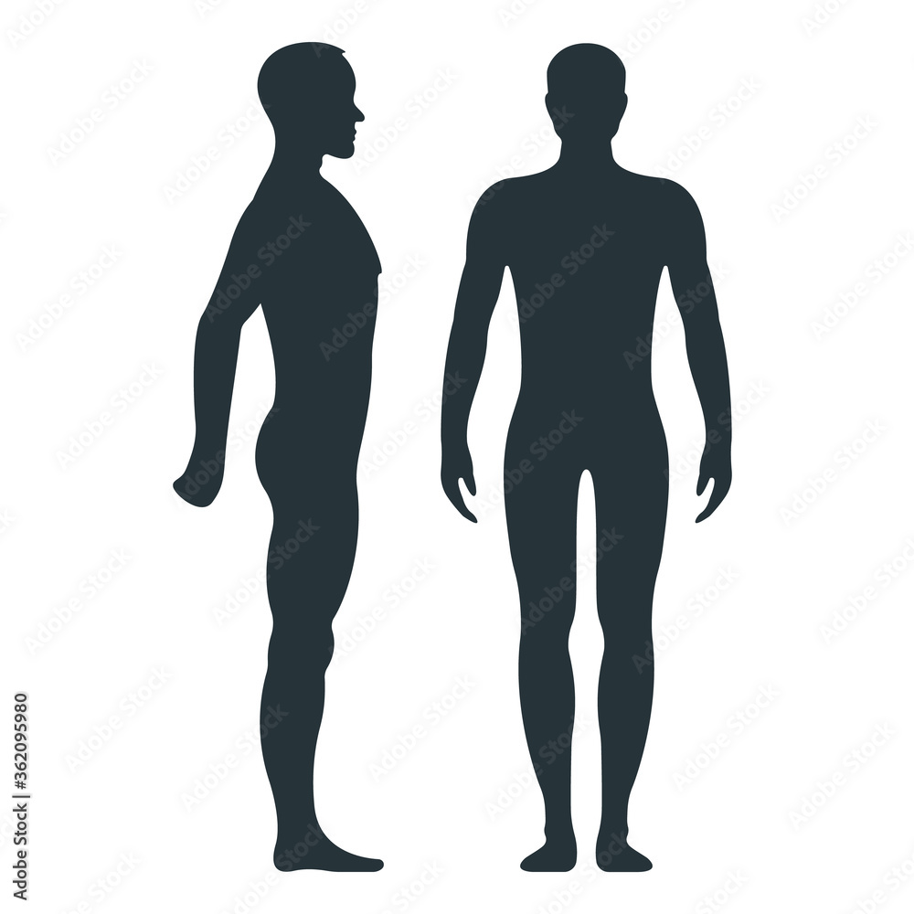 Male anatomy human character, man people dummy front and view side body ...