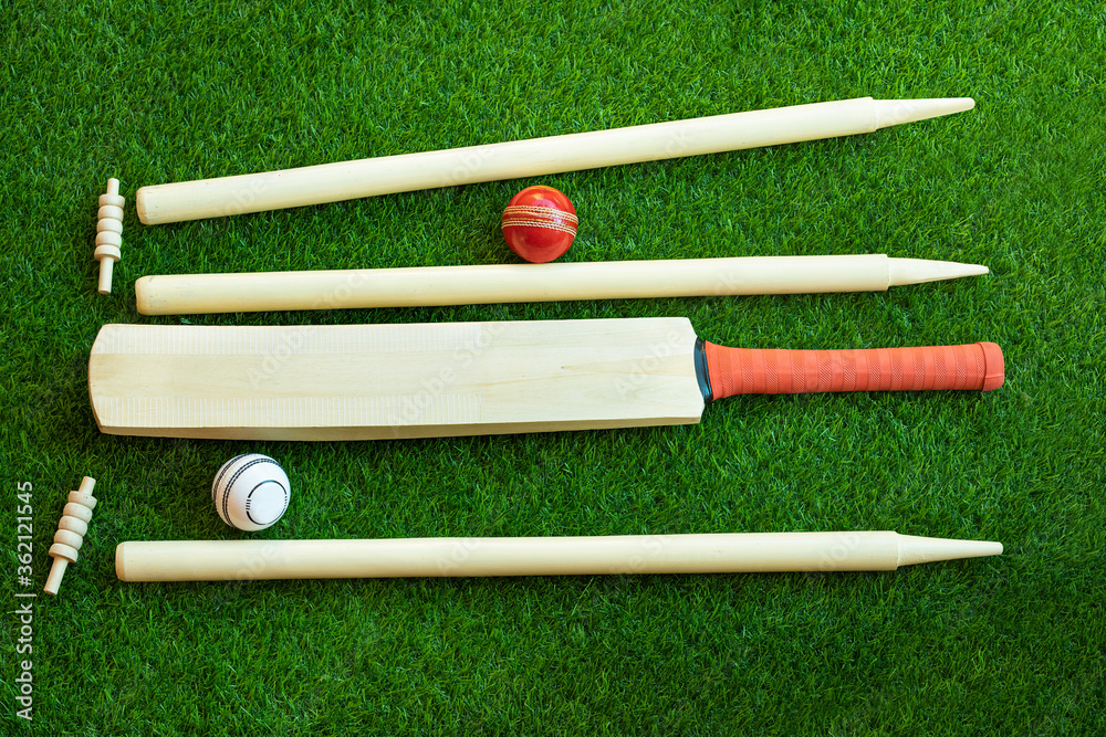 CRICKET GROUND WITH PLAYING PITCH bat and ball cricket games ...