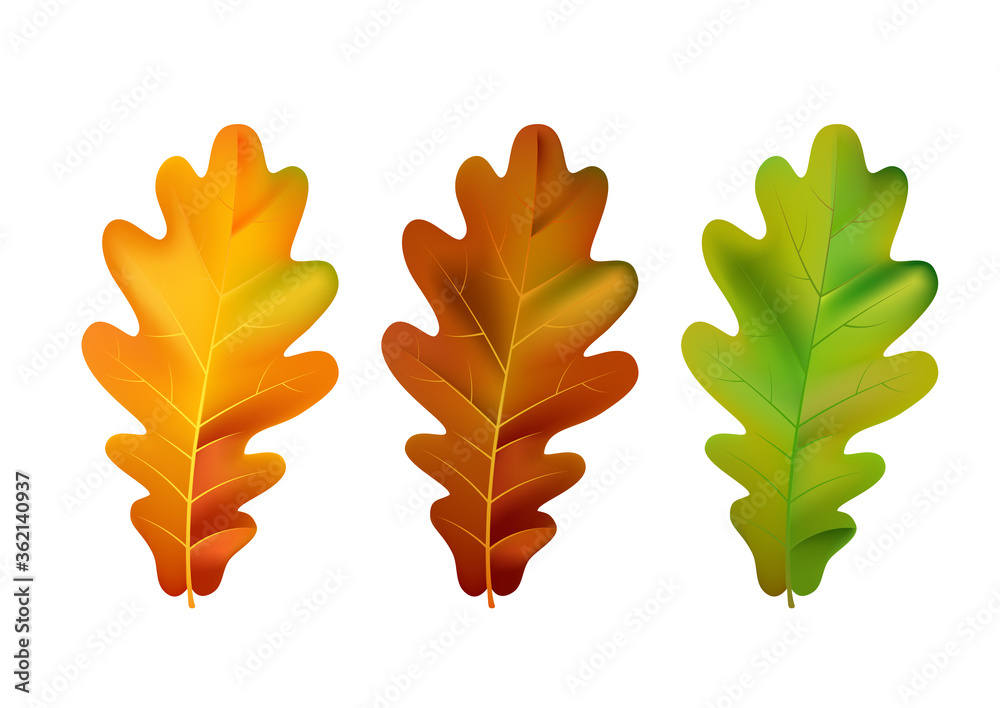 Autumn Oak Tree Clip Art