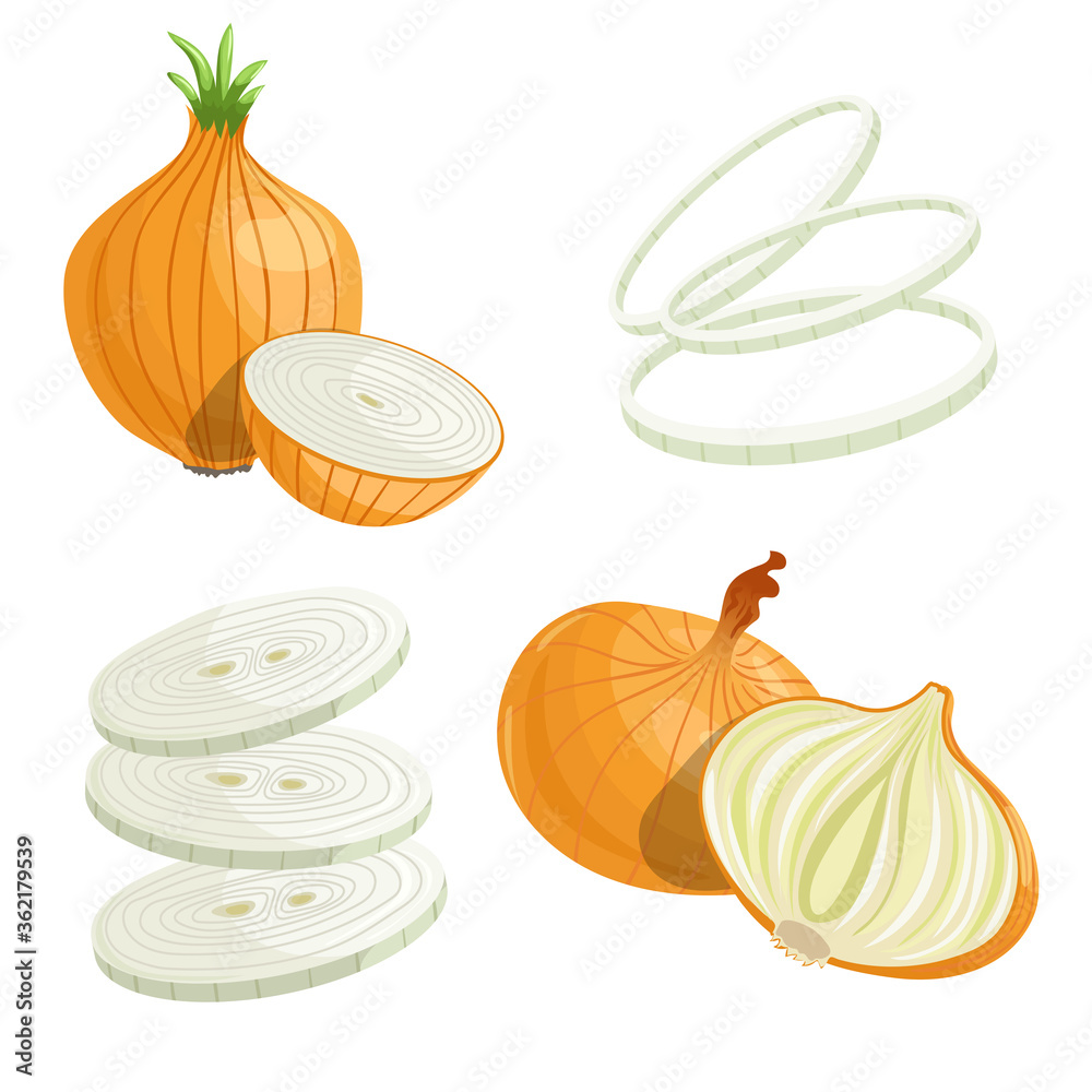 Cartoon brown or yellow onions set. Whole unpeeled, half, onion rings ...