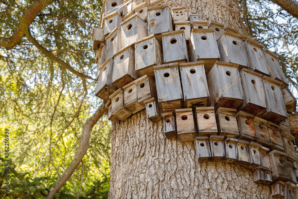 Many decorative birdhouses on a tree. Nesting boxses are grouped in ...