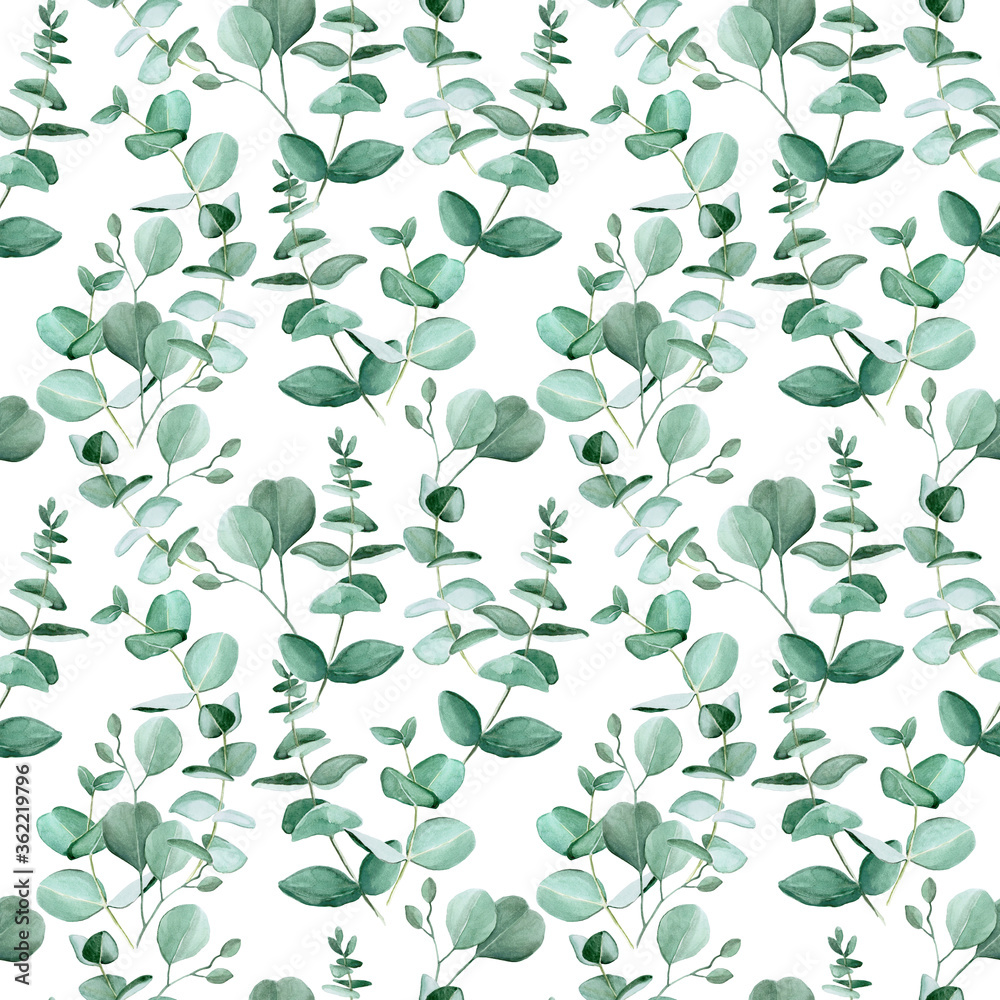Seamless pattern with watercolor eucalyptus leaves on a white ...