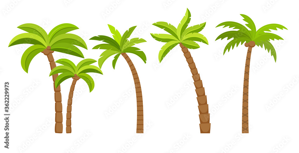 Cartoon Palm Trees With Coconuts