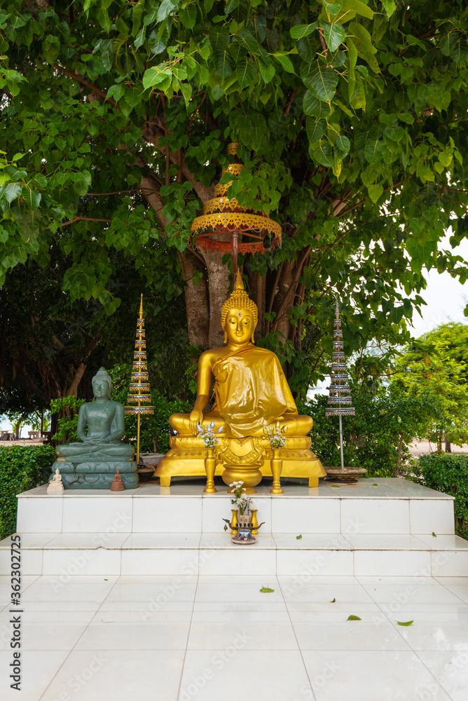 vertical photo, a statue of the golden Buddha, the symbol and heart of ...