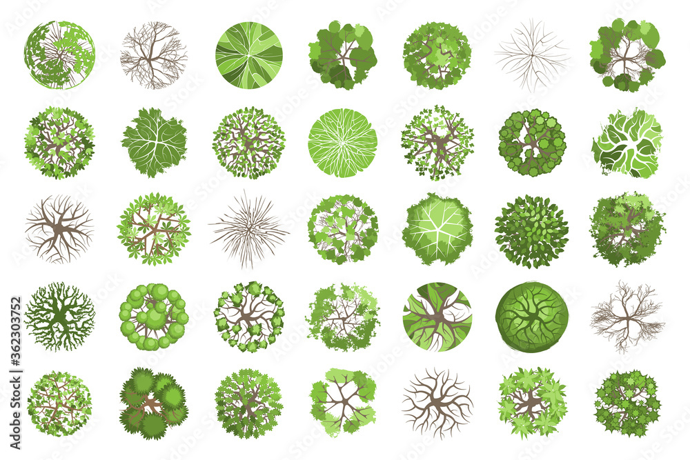 Trees Top View Different Plants And Trees Vector Set For Architectural Or Landscape Design