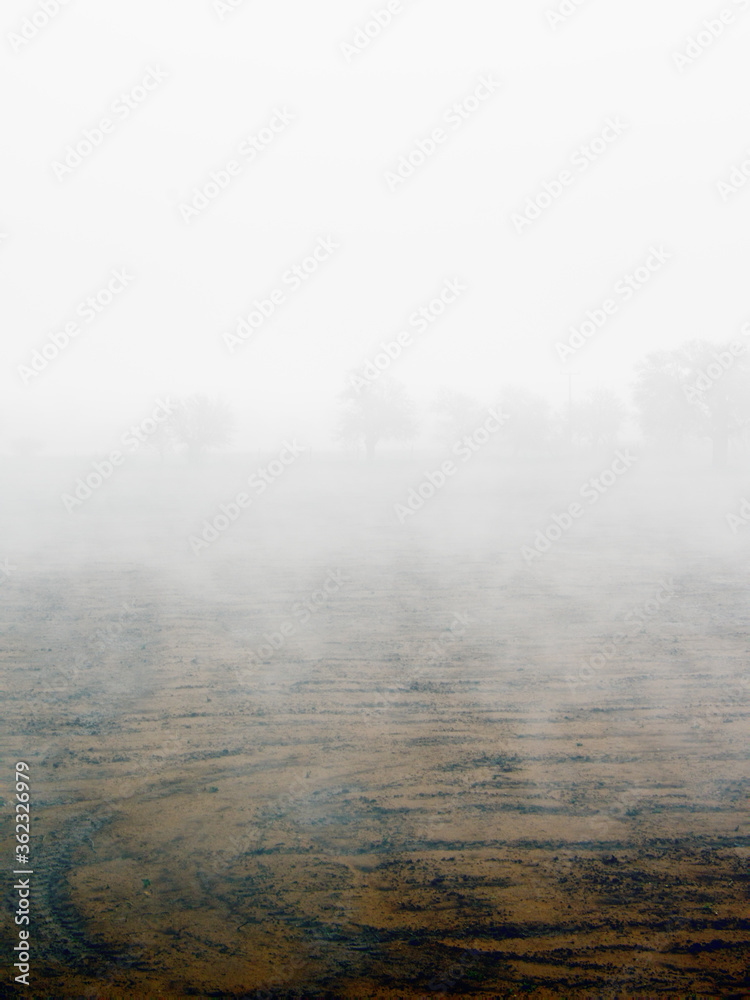 Foggy agricultural fields. Land is left for winter as ploughed land ...