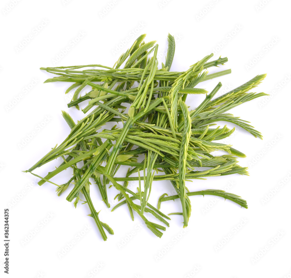 Thai local vegetable, Senegalia pennata or Acacia pennata or Cha-om ...