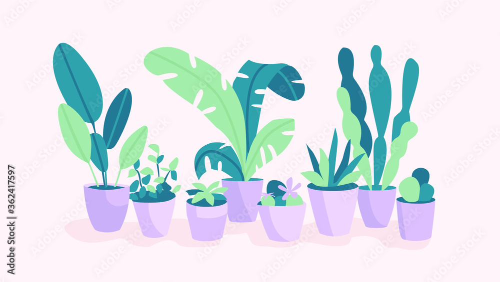 Vector cartoon illustration with potted home plants. Big set with ...
