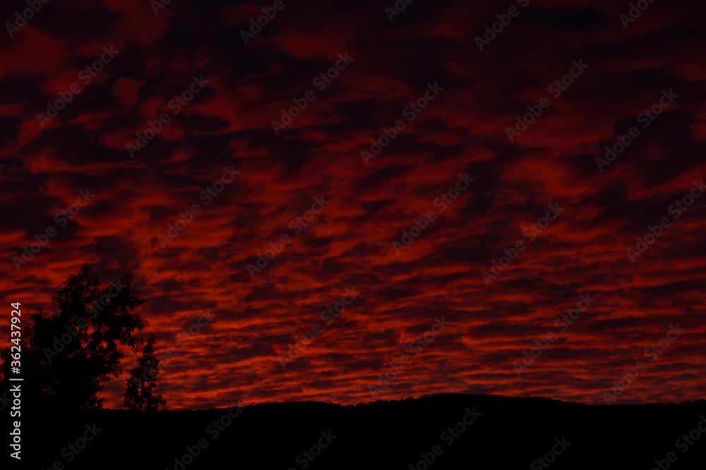Silueta de montaña y árbol con un atardecer rojizo Stock Photo | Adobe ...
