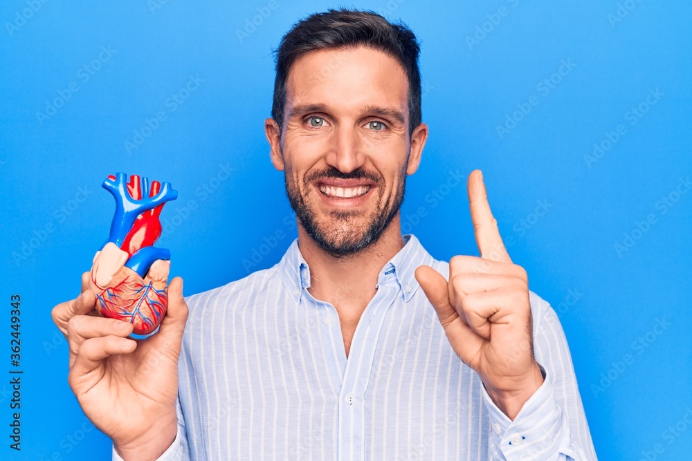 Young handsome man holding heart organ with veins and arteries over ...