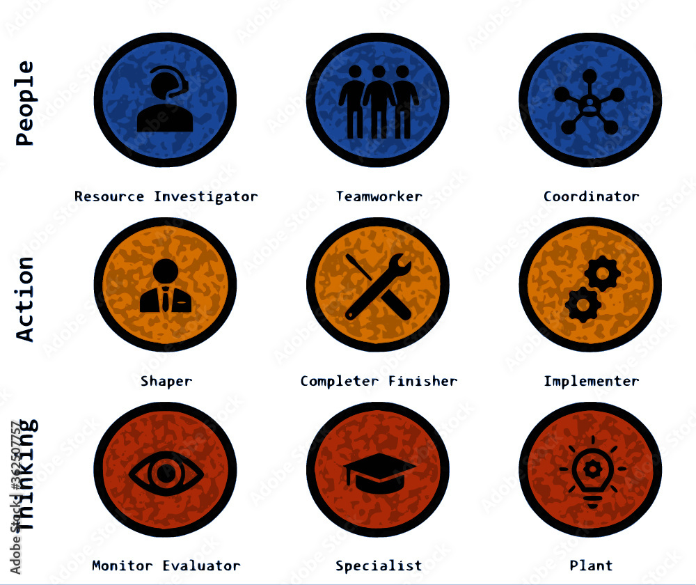 Belbin Team Roles, English Test Stock Vector | Adobe Stock