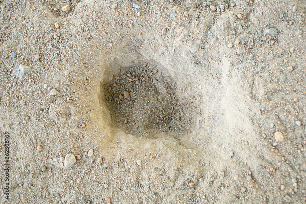 top view of a hollow of earth. the texture of soil and sand. Stock ...