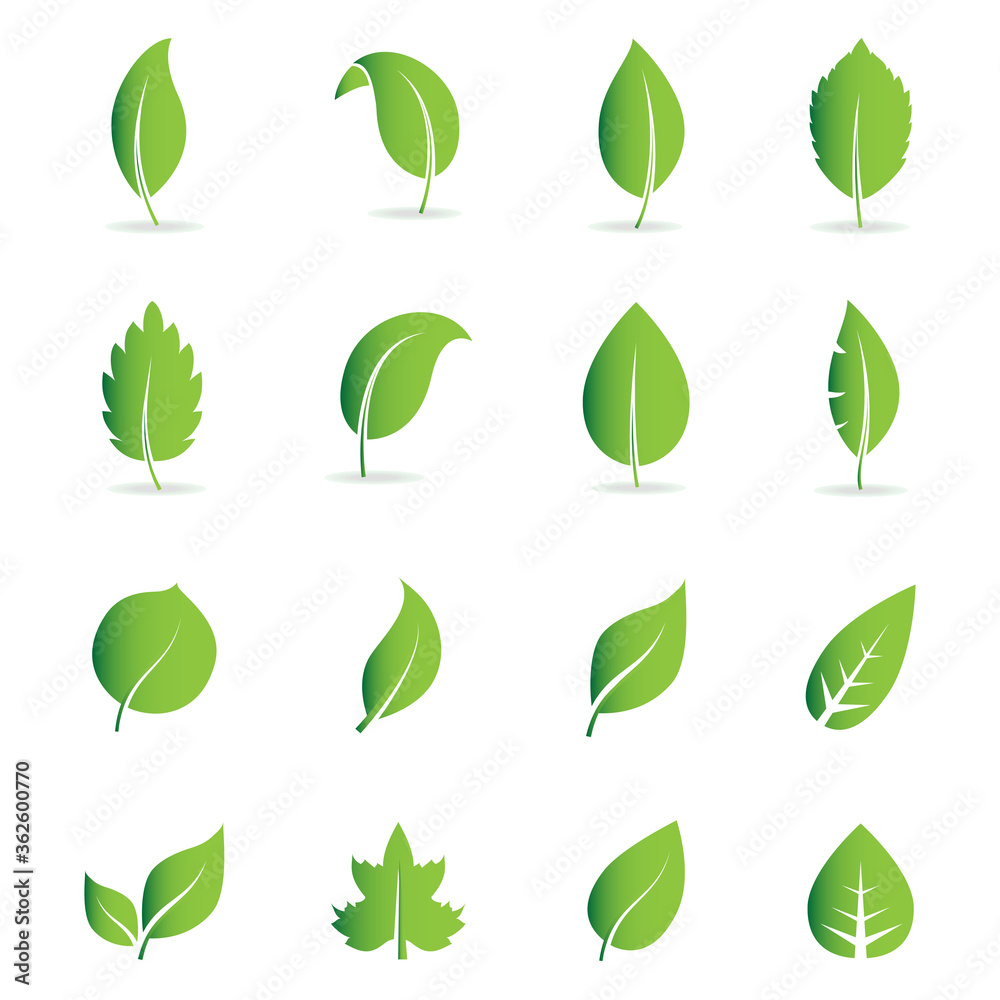 Abstract leaf icon set isolated on white background. Collection of leaf ...