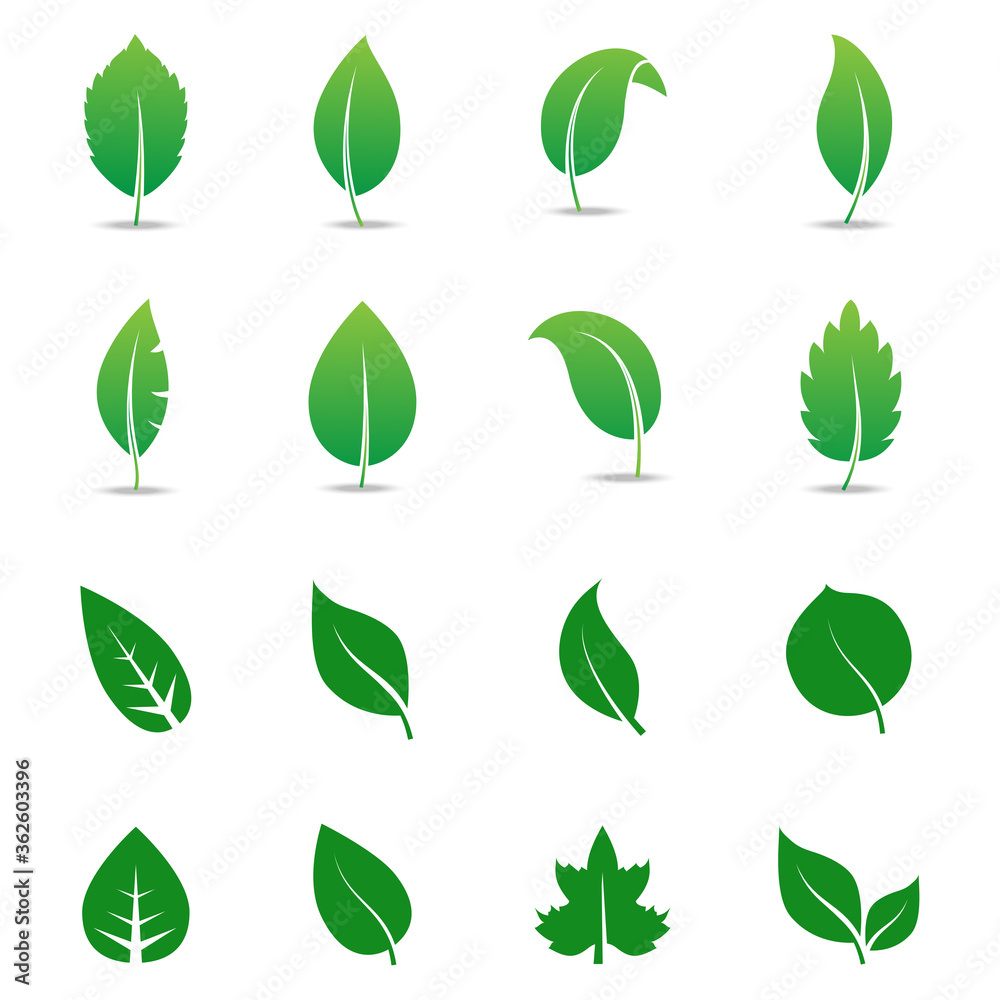 Abstract leaf icon set isolated on white background. Collection of leaf ...