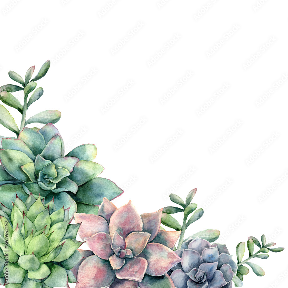 Watercolor card with bouquet of succulents. Hand painted green and ...