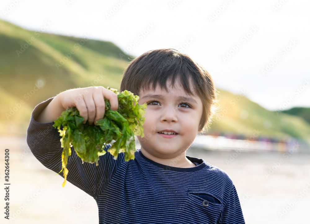 Cute boy holding seaweed with proud face on sunny day,Active boy ...