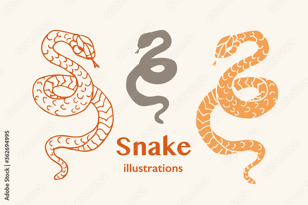 Vector Illustrations of Snakes Stock Vector | Adobe Stock