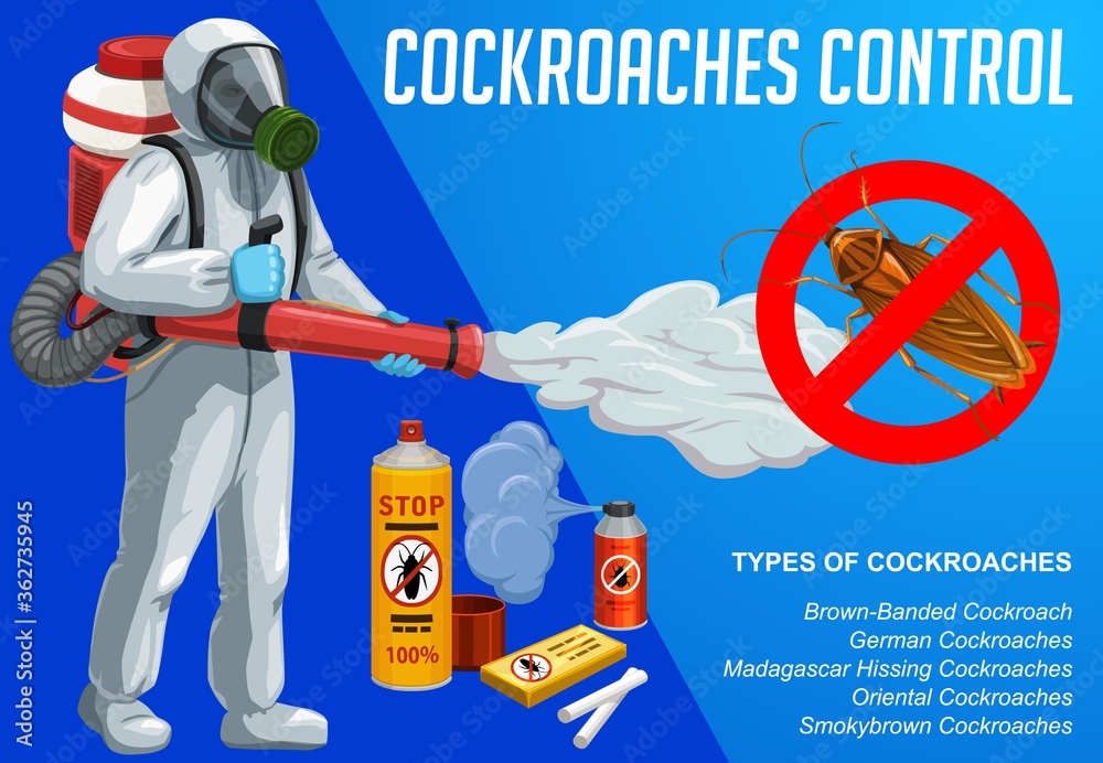 Cockroach insect control with cold fogging method. Pest control vector ...