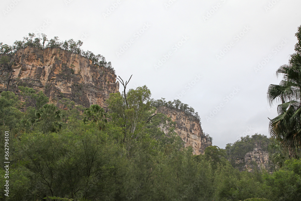 Carnarvon Gorge, Queensland, Australia. Featuring trees, creeks, rocks ...