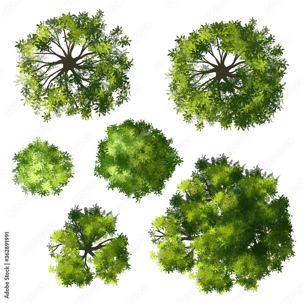 Set of tree top view for landscape and architecture elements Stock ...