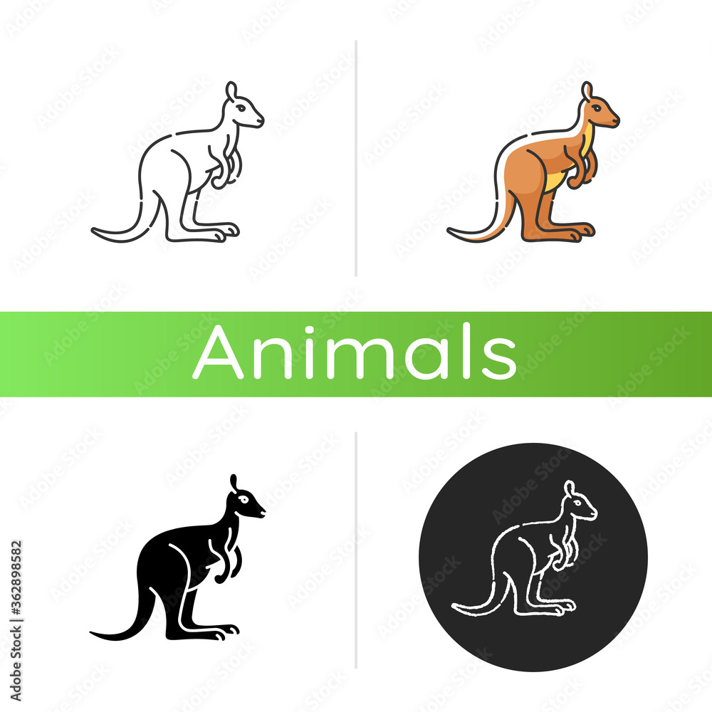 Pet Wallaroo
