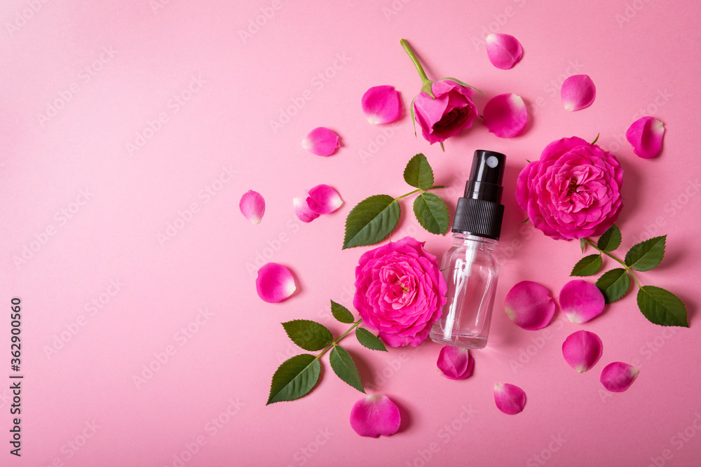 rose water spray with pink fresh flowers and petals on pink background ...