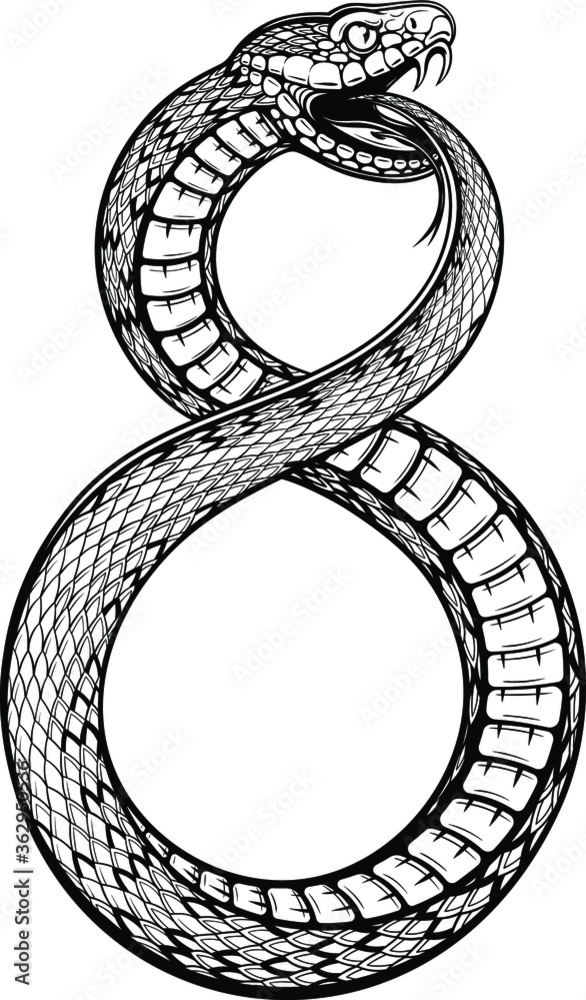 Vector Black and White Alchemy Snake Illustration Stock Vector | Adobe ...