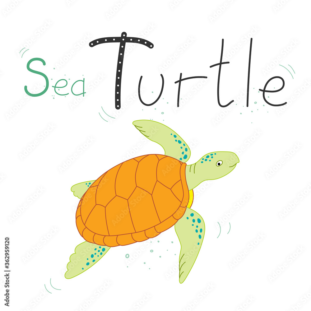 Vector doodle sea turtle. Cartoon sea animal on white background ...
