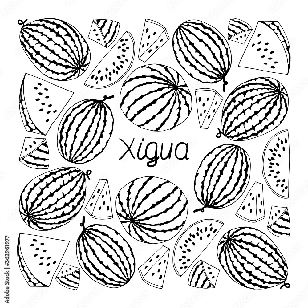 Xigua lettering. Hand drawn poster. Coloring page. Stock vector ...