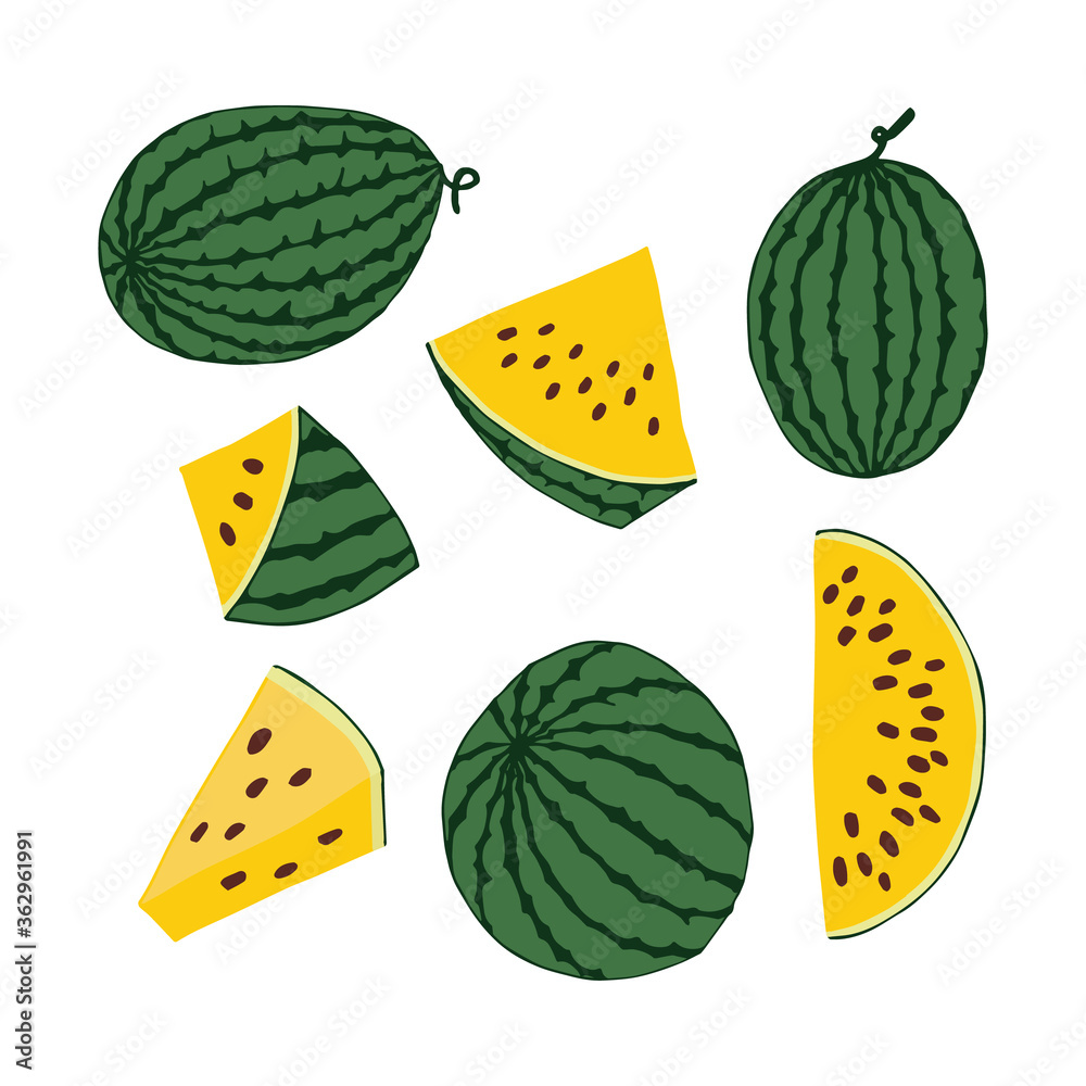 Xigua set of colorful elements. Hand drawn stock vector illustration ...