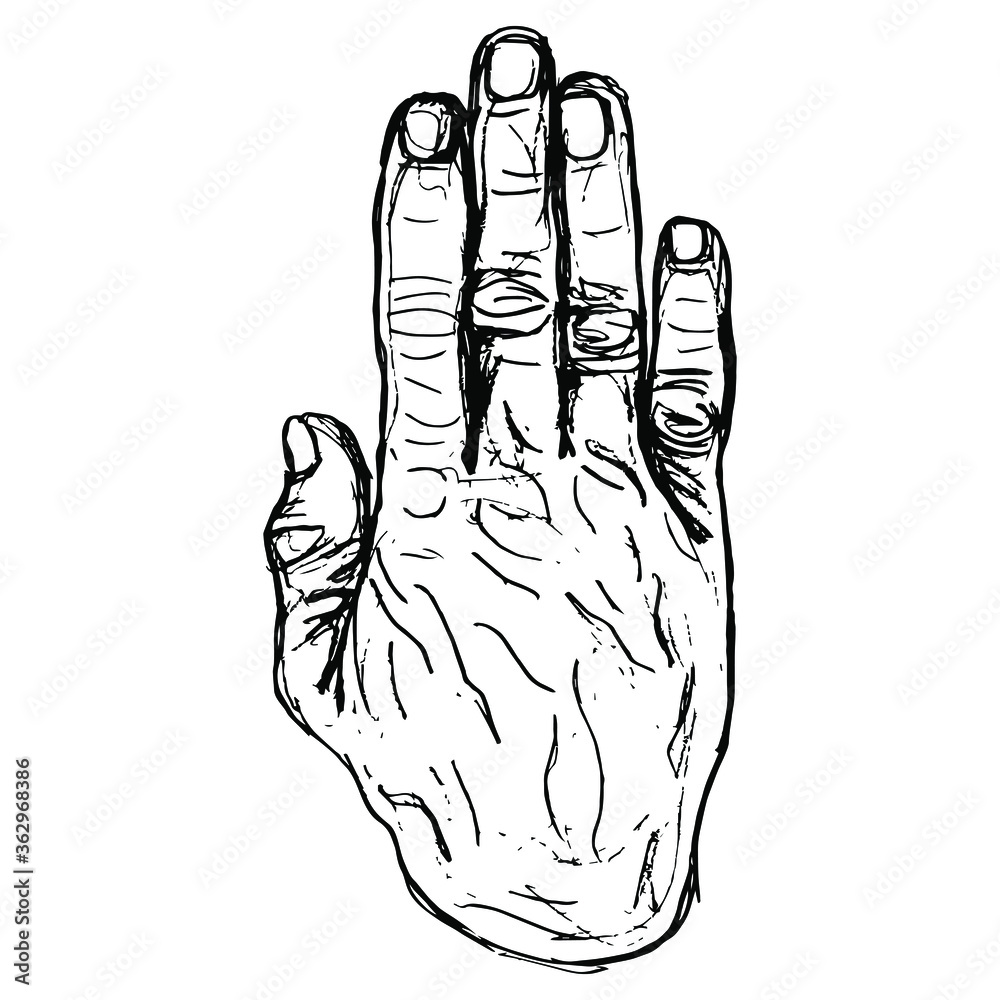 Wrinkled hand of old person. Top view of male palm. Hand drawn linear ...