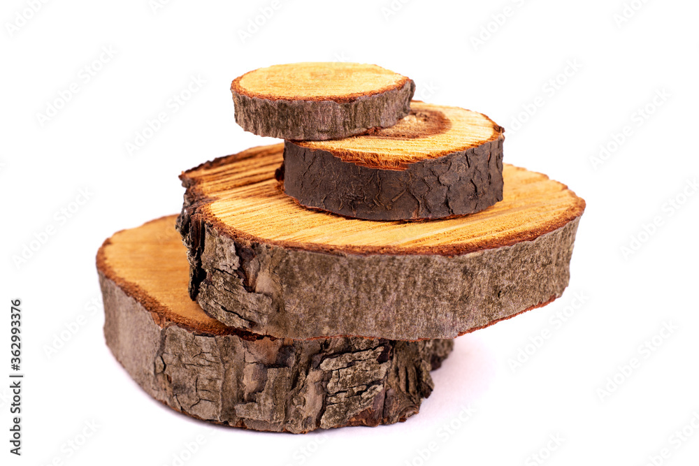 Cross section of trunk on white background. Wood cuts of different ...
