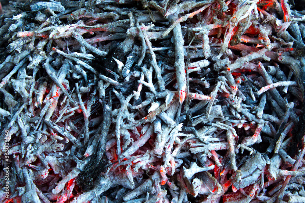 Backdrop of the fire flame and ashes. Bonfire fire texture on wild ...