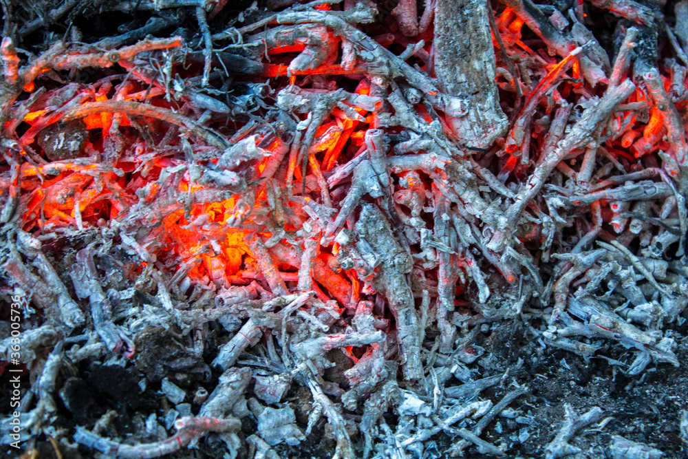 Backdrop of the fire flame and ashes. Bonfire fire texture on wild ...